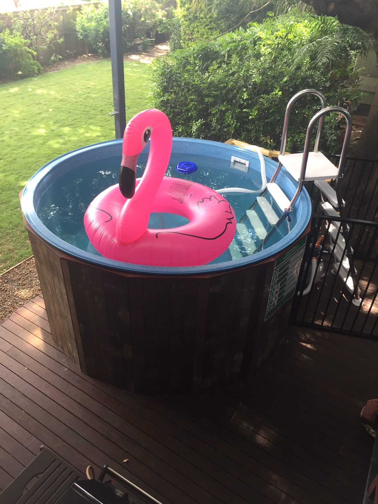 Pool Gallery - Polyworld