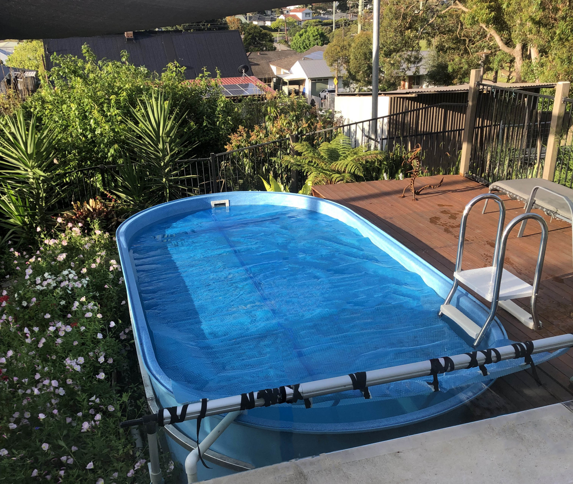 Pool Gallery - Polyworld