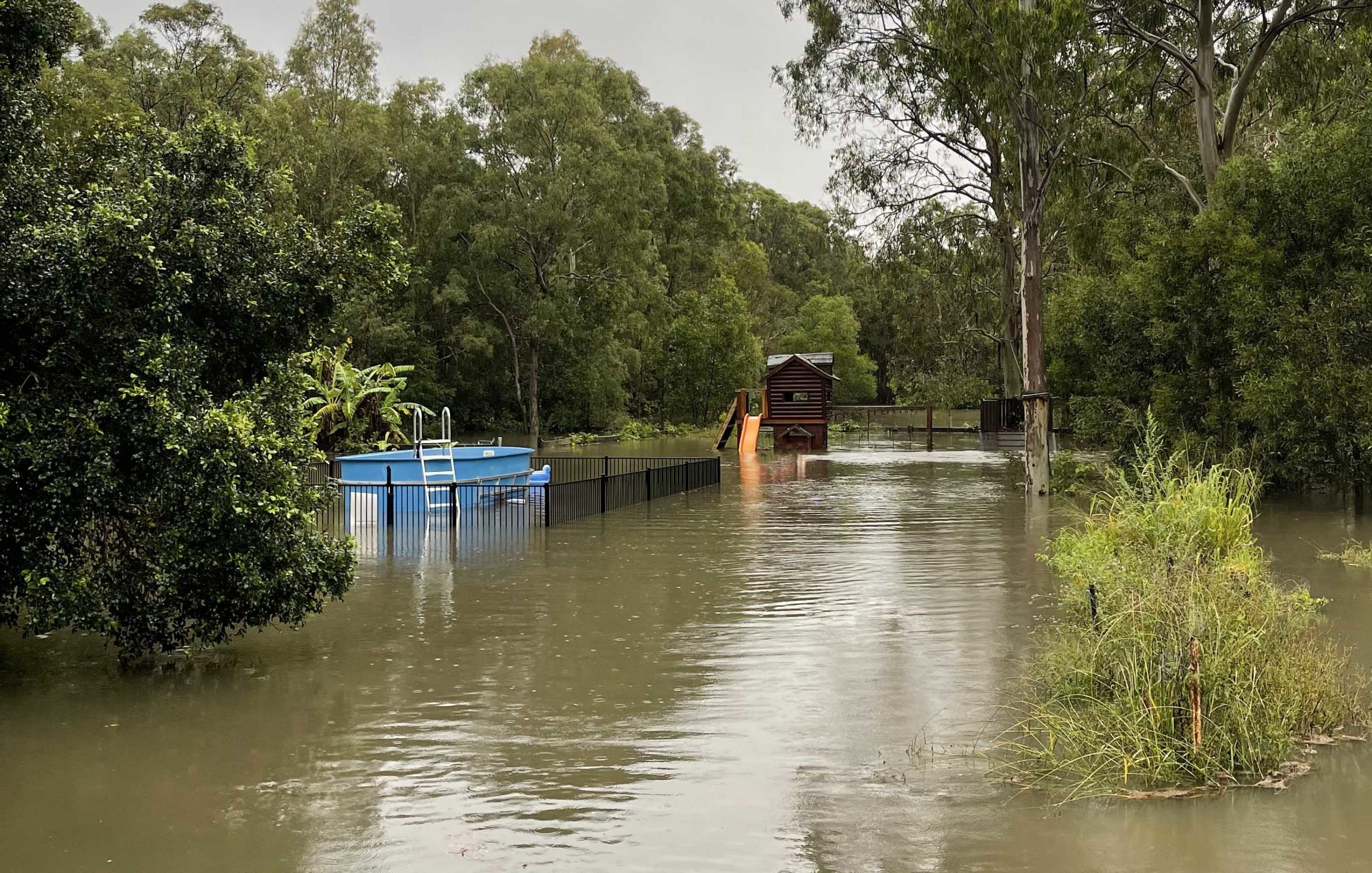 Pool Gallery - Polyworld